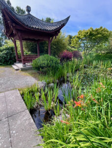 Walk with WABI's Weekday Walkers at South Seattle College this ...